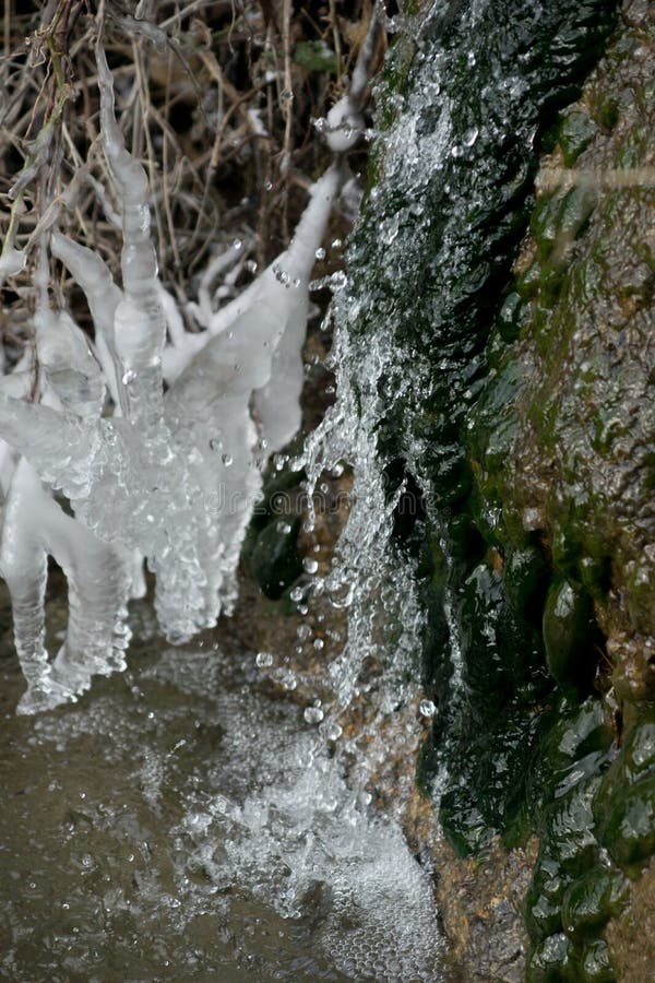 Ice and water. stock photo. Image of winter, frost, branch - 86019592