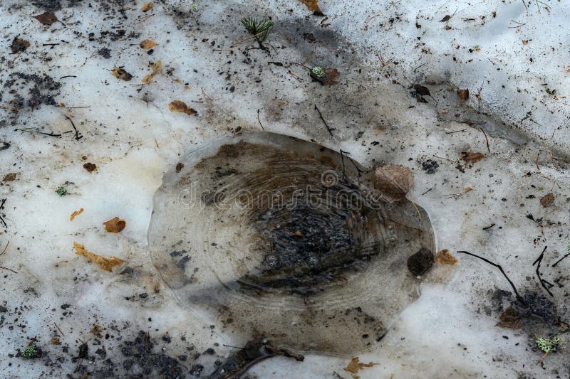 Ice and water stock photo. Image of temperature, white - 323799406