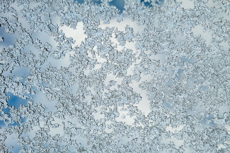 Ice on Windows Glass. Frost on the Window Stock Image - Image of cold ...