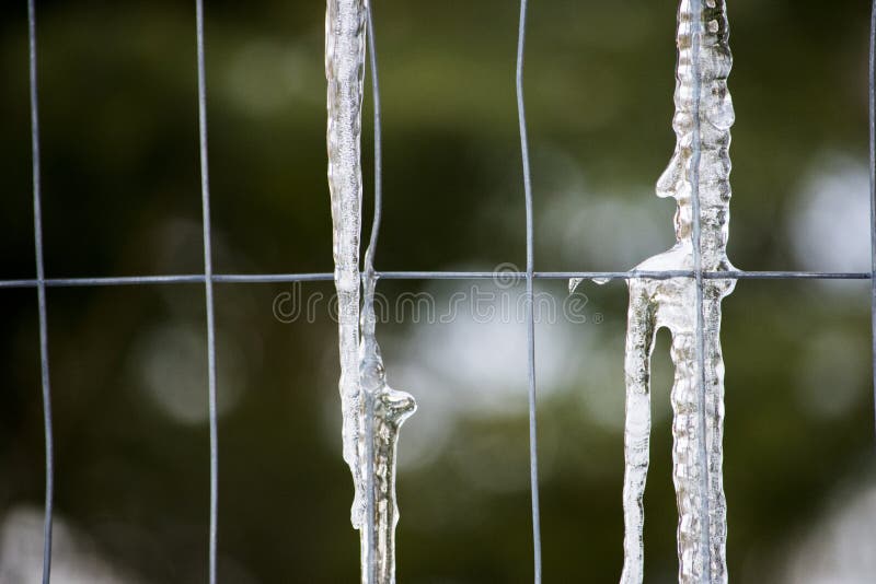 Ice on wire fence stock image. Image of icicle, spring - 145165689