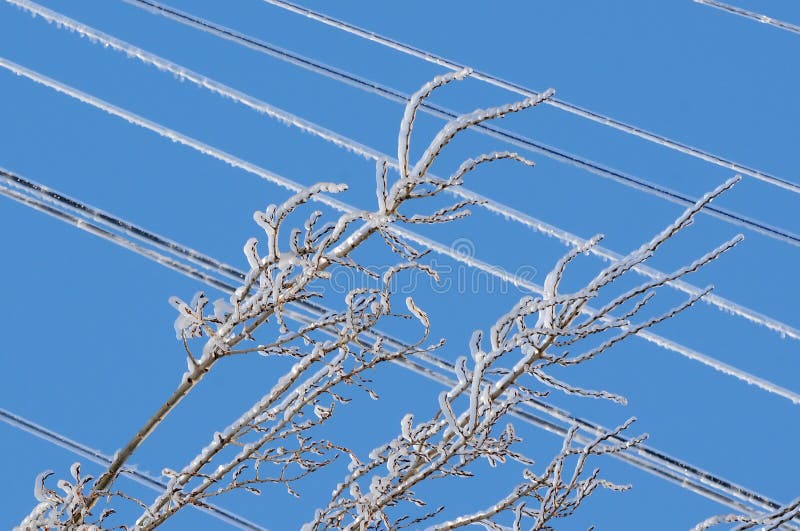 Ice on wires stock photo. Image of cold, caution, winter - 55485298