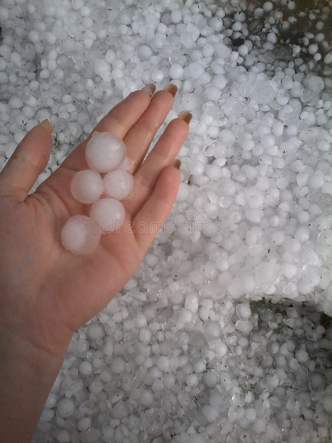 Iceballs stock photo. Image of storm, rain, felled, iceballs - 54992092