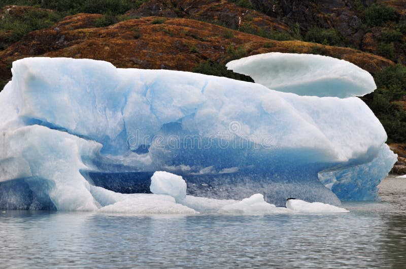 Iceberg in Alaska stock photo. Image of river, iceberg - 10839926