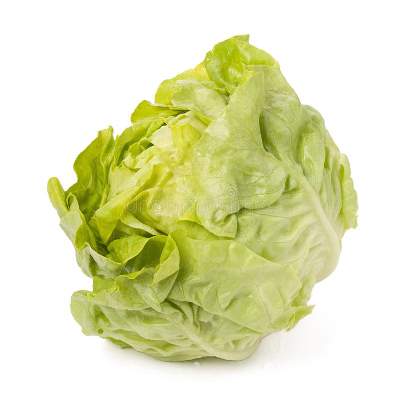 Lettuce Baunch Stock Photos - Free & Royalty-Free Stock Photos from ...