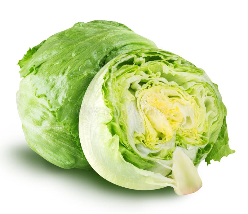 Iceberg Lettuce Cabbage on White Stock Photo - Image of food, healthy ...