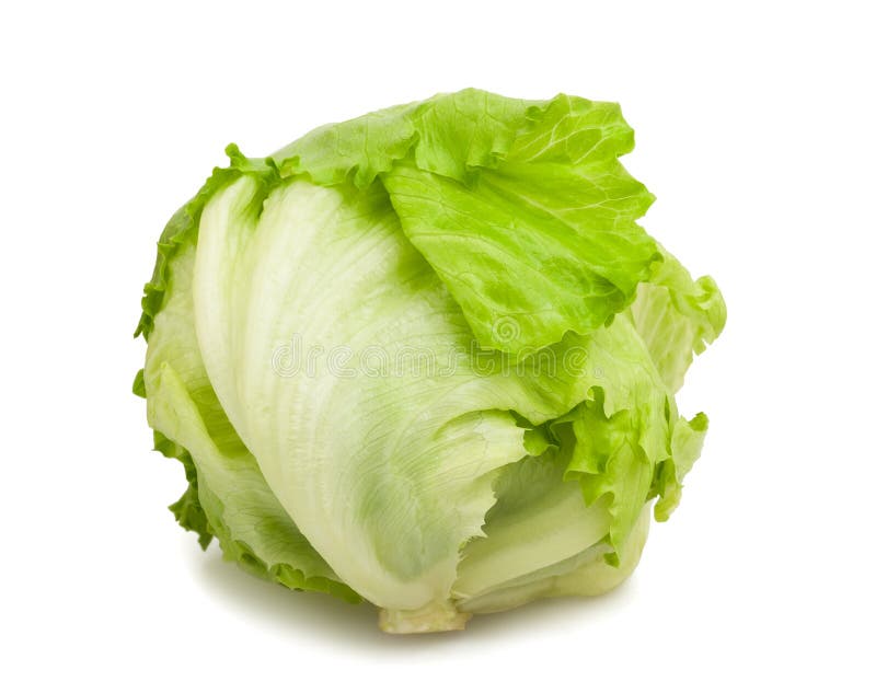 Iceberg lettuce nutrition - mainnored