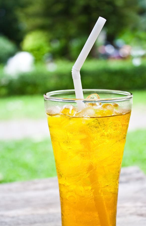 Iced Chrysanthemum Tea (flower Tea) Stock Photo - Image of morning ...