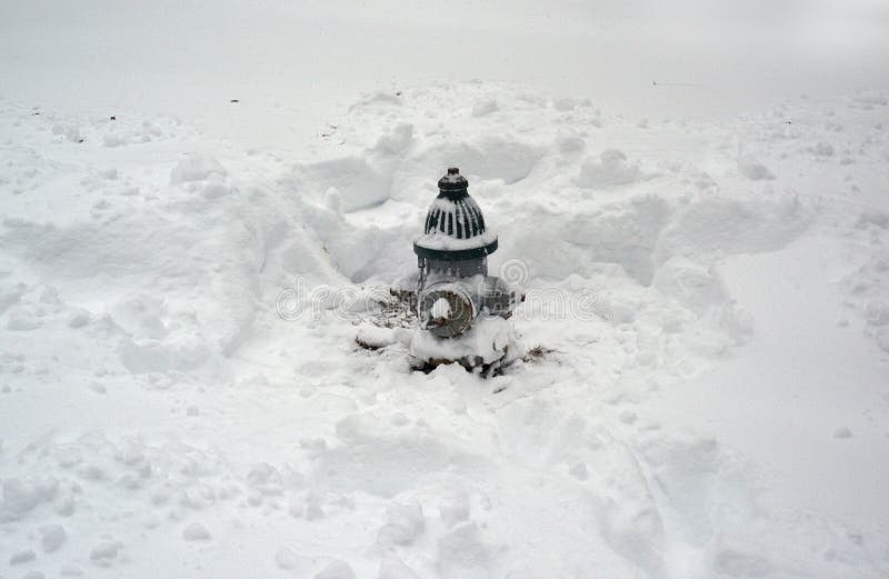 Iced Fire Hydrant stock photo. Image of winter, washington - 74185670