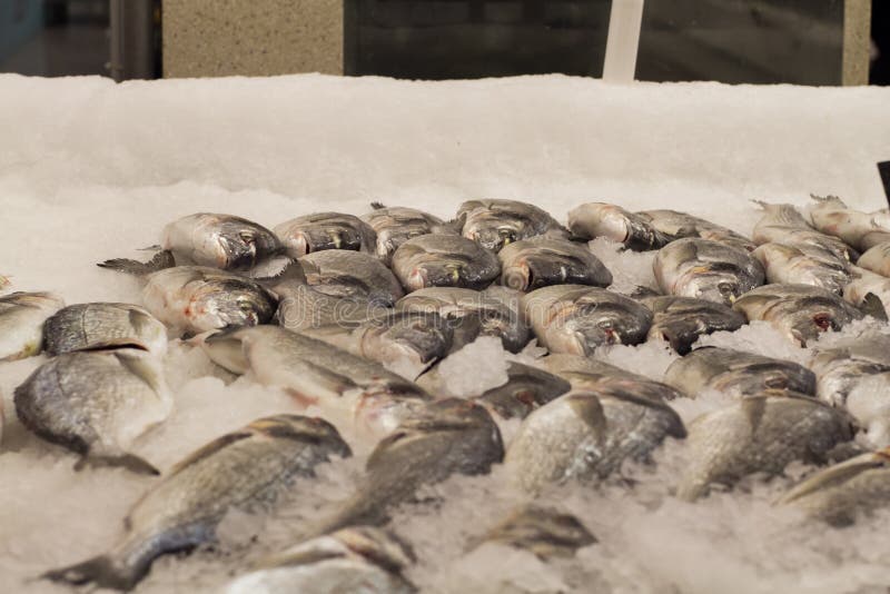 Iced fish in store stock image. Image of food, merchandise - 62316983