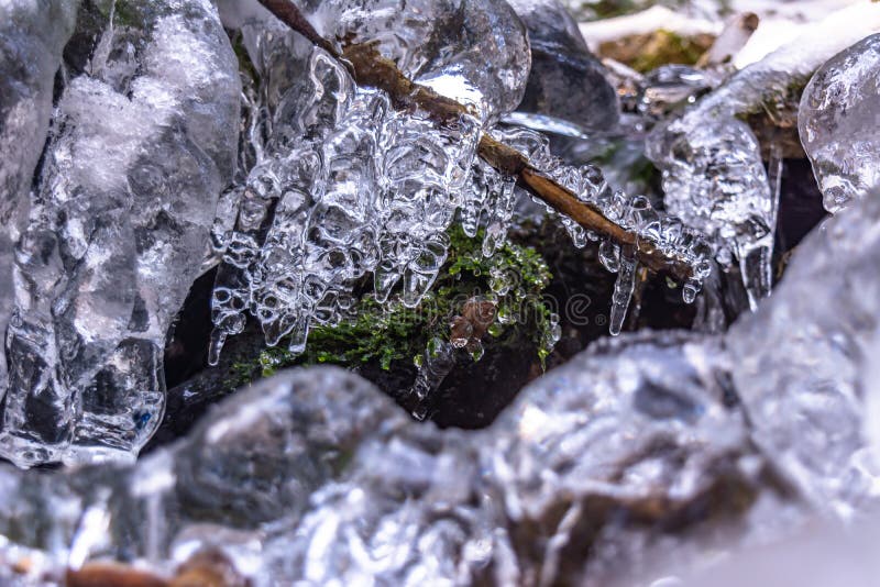 Iced Grass Plants Under Ice and Snow Stock Image - Image of environment ...