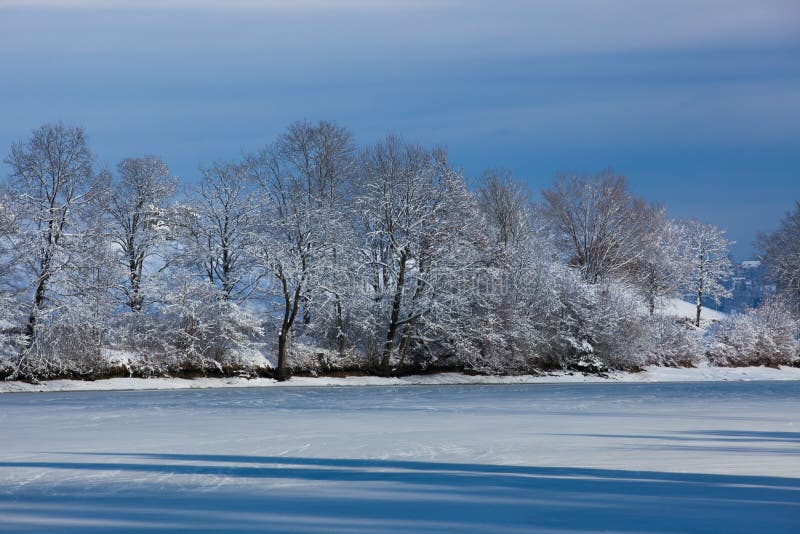 Iced lake stock image. Image of snow, lake, branch, water - 32585025