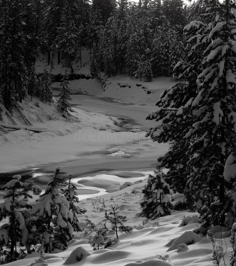 Iced over Deschutes stock photo. Image of environment - 85206548
