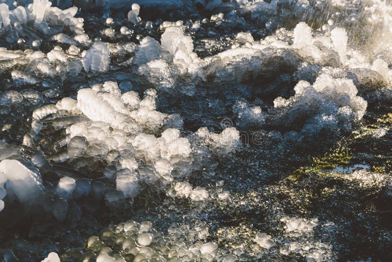 Iced Over Grass in an Abstract Beautiful Form Stock Photo - Image of ...