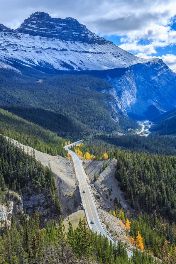 Icefields Parkway stock image. Image of roads, yellow - 50279397