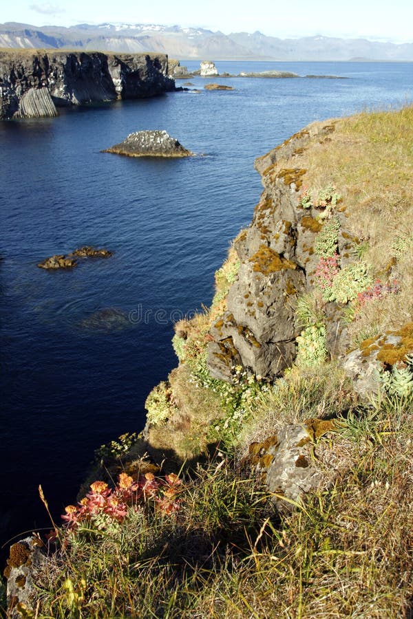 Icelandic cliffs stock image. Image of natural, wall - 12625517