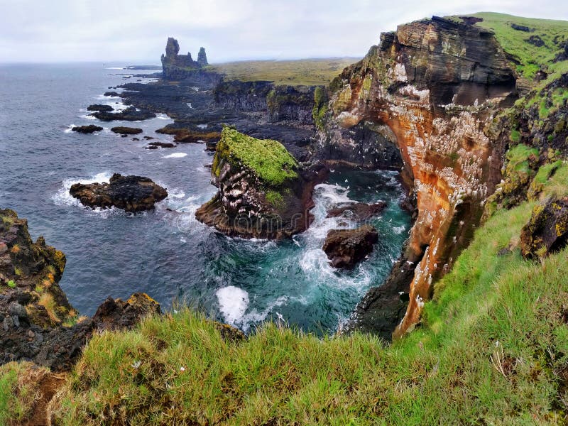 Iceland Coast Cliffs Sea Bird Rocks Stock Image - Image of birds, rocks ...