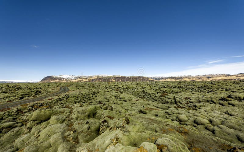Iceland Lava Field Covered with Green Moss Stock Image - Image of field ...