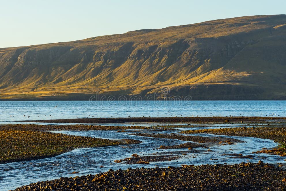 Icelandic Bay with the Mountain and River Stock Photo - Image of autumn ...
