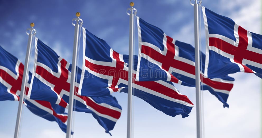 Icelandic Flags Waving Together Under a Clear Blue Sky Stock ...