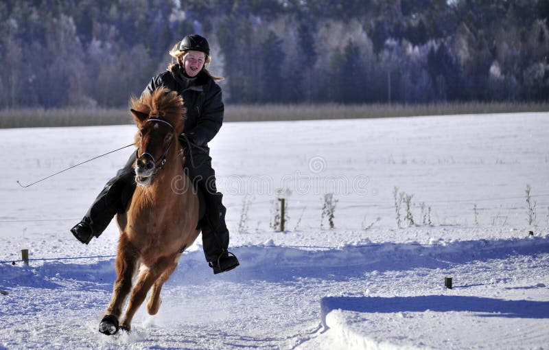 Icelandic Horse Competition Editorial Photography - Image of north ...