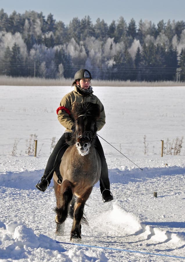 Icelandic Horse Competition Editorial Stock Image - Image of wintry ...