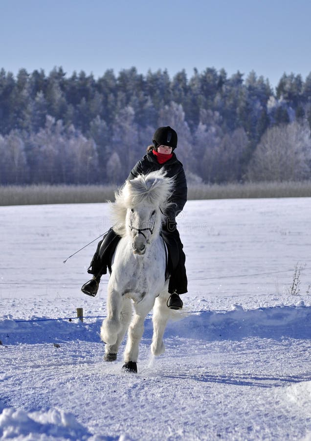 Icelandic Horse Competition Editorial Stock Image - Image of nature ...
