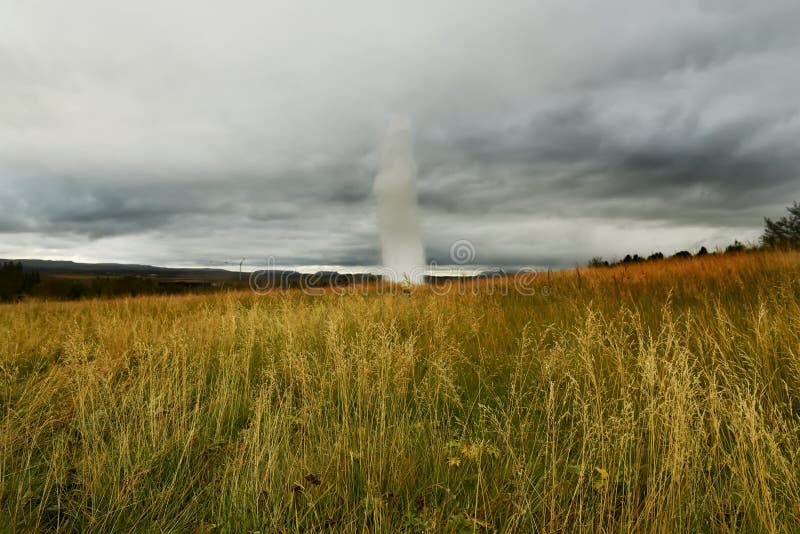 Spouting Geyser Letting Off Steam at Yellowstone National Park Stock ...