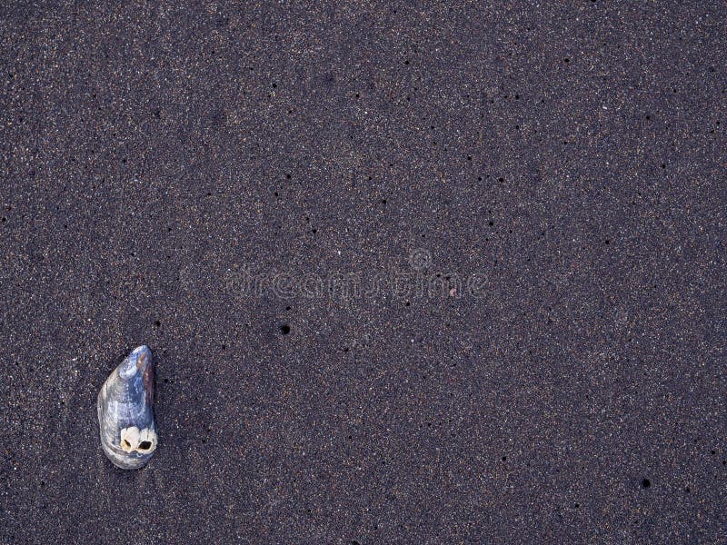 Icelandic Vulcanic Black Sand with Shell on it Stock Image - Image of ...