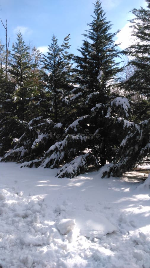 Icey Roads Stock Photos - Free & Royalty-Free Stock Photos from Dreamstime