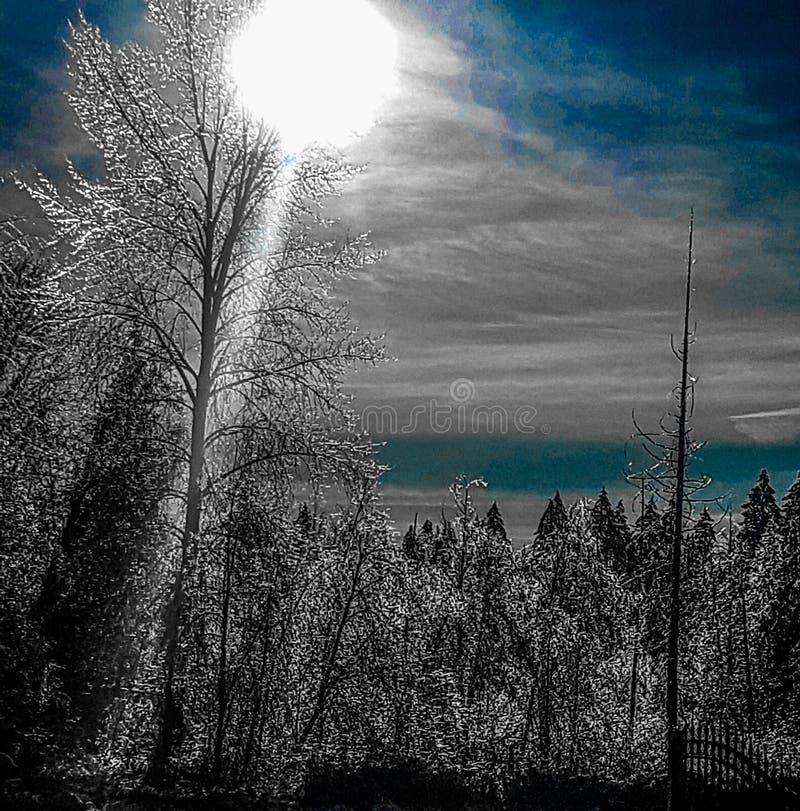Icey sunny days stock image. Image of aftet, icey, storm - 108014889