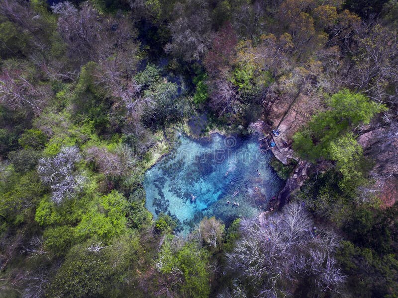 Ichetucknee Springs - Aerial Stock Image - Image of aerial, forests ...
