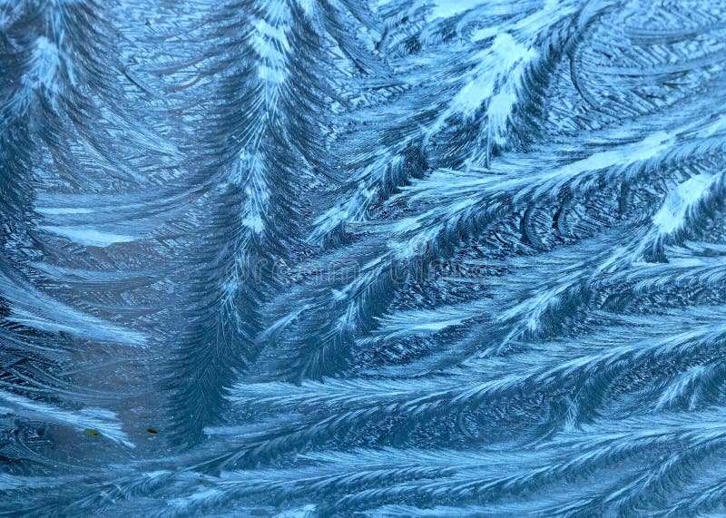 235 Windscreen Sheet Stock Photos - Free & Royalty-Free Stock Photos ...