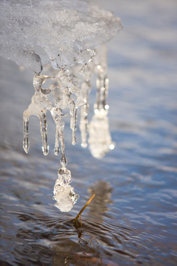 Ice Bells Icicle Formation stock photo. Image of frozen - 28384146