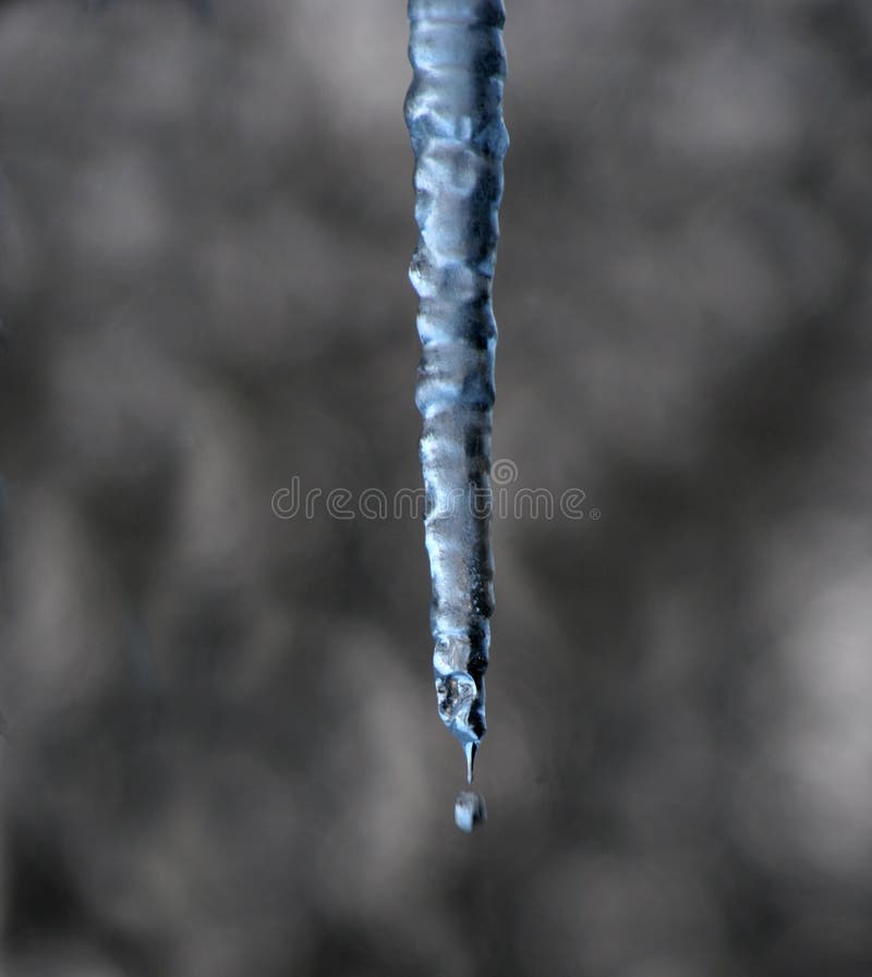 Icicle stock image. Image of cold, freeze, droplet, macro - 81995