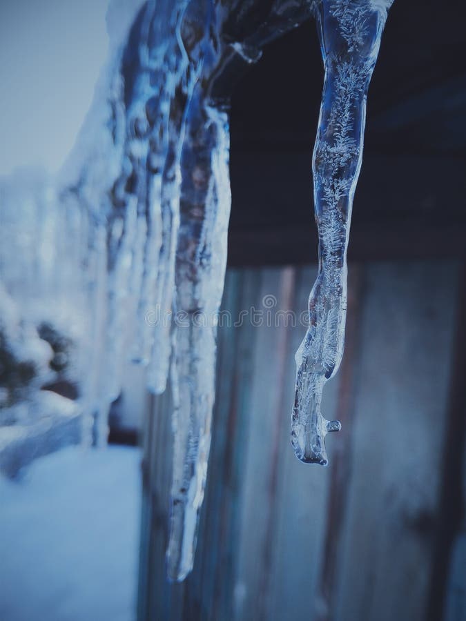 Icicle stock photo. Image of frost, small, natural, amazing - 50103362