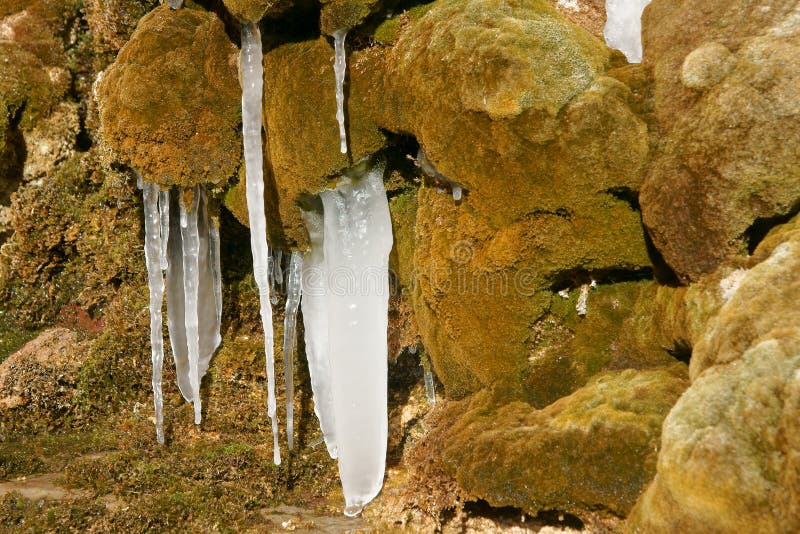 Icicle stock image. Image of nature, spiculate, lichen - 48237265