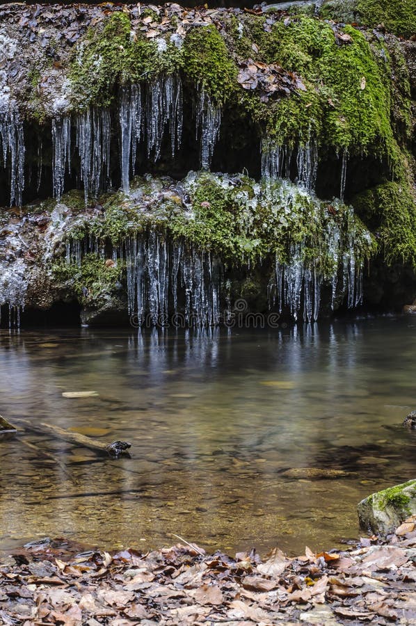 Icicle deep in the forest stock image. Image of moss - 45771309