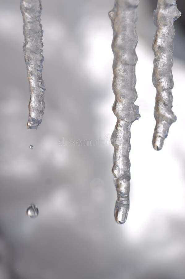 Icicle Drips stock photo. Image of cold, cave, icicles - 88776492