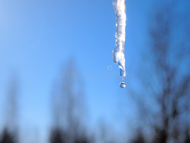 Icicle stock image. Image of frozen, icicle, natural - 29936461