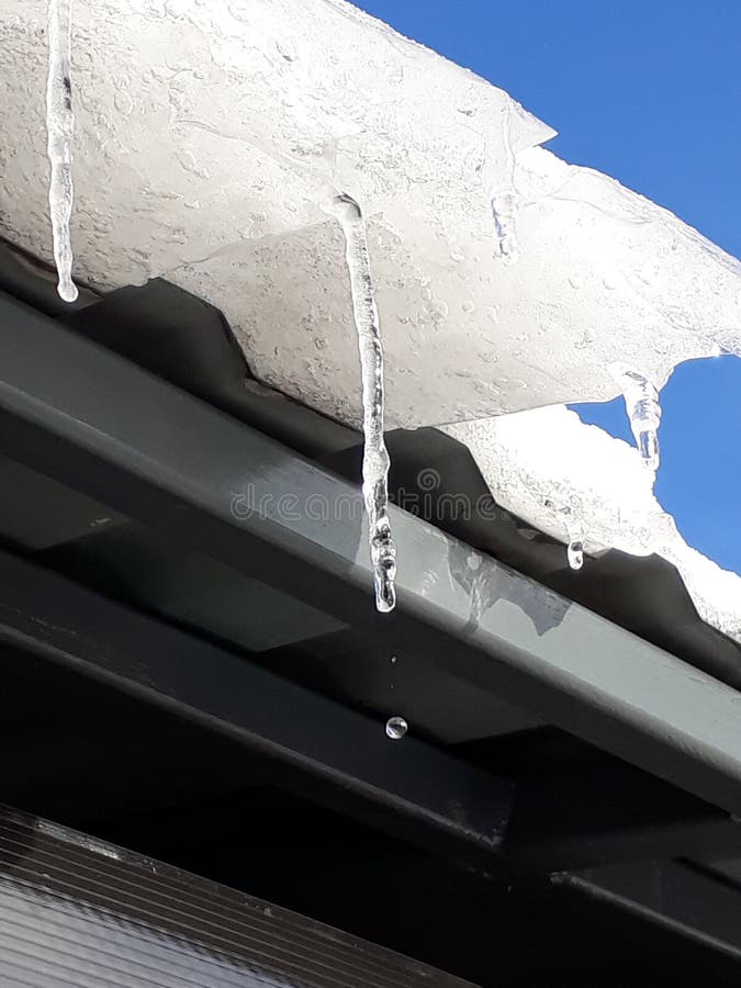 Icicle melts, drops stock photo. Image of dripping, melts - 115007028
