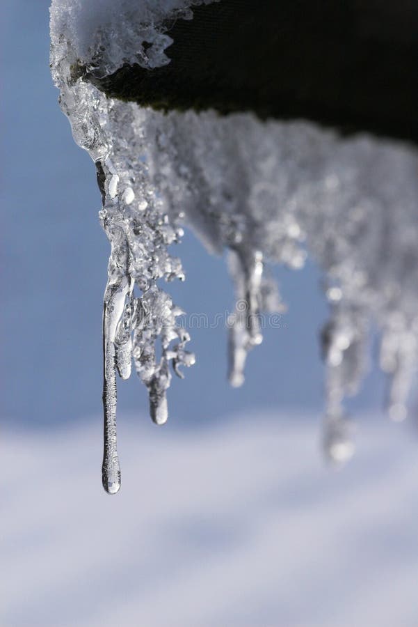 Waterdrops Hanging on Little Spires Stock Photo - Image of nature ...