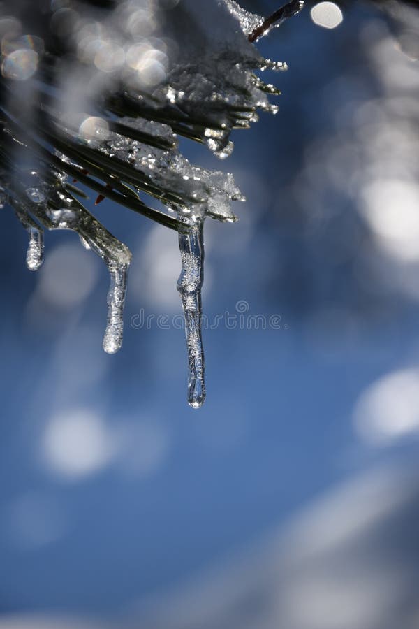 Icicle in winter stock photo. Image of winter, icicle - 86026808