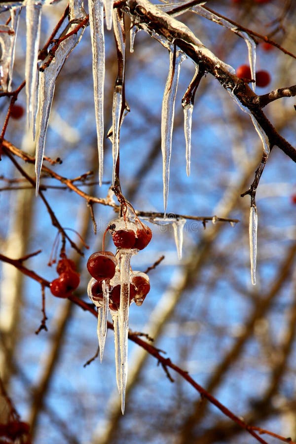 Icicles stock photo. Image of icing, brown, frame, danger - 39015286