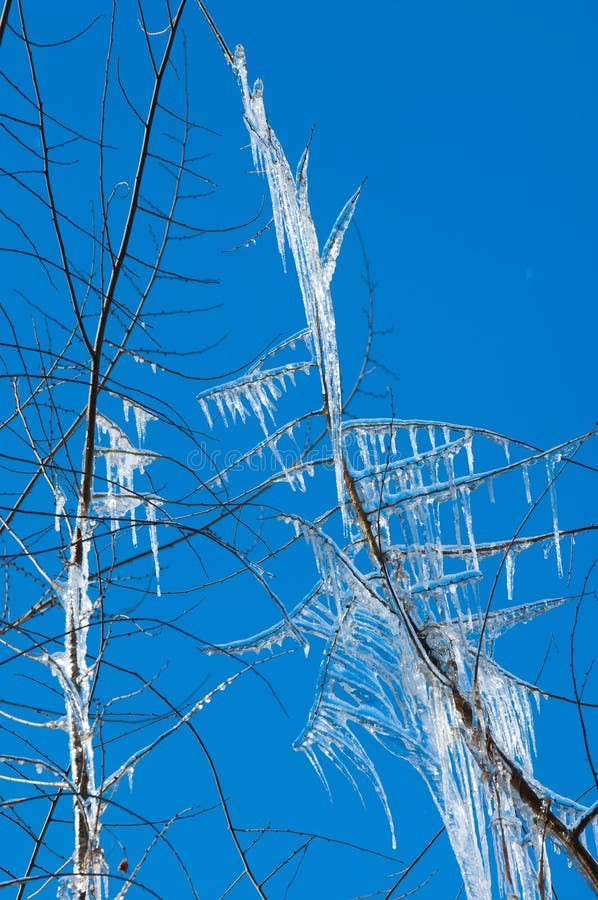 Icicles stock image. Image of cool, december, snow, frozen - 122255111