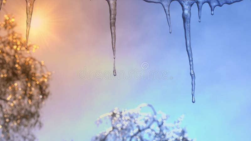 Icicles Drip and Melt in Rays of Spring Sun Stock Video - Video of beam ...