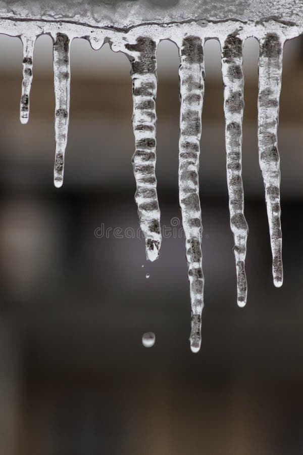 Icicles Dripping stock photo. Image of cold, frost, drip - 62588828