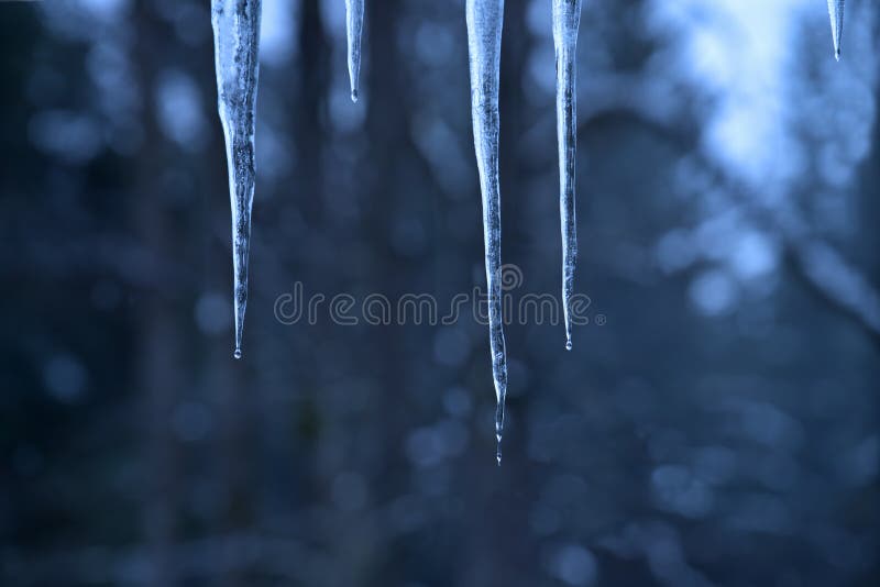 Icicles Dripping stock photo. Image of cold, frost, drip - 62588828