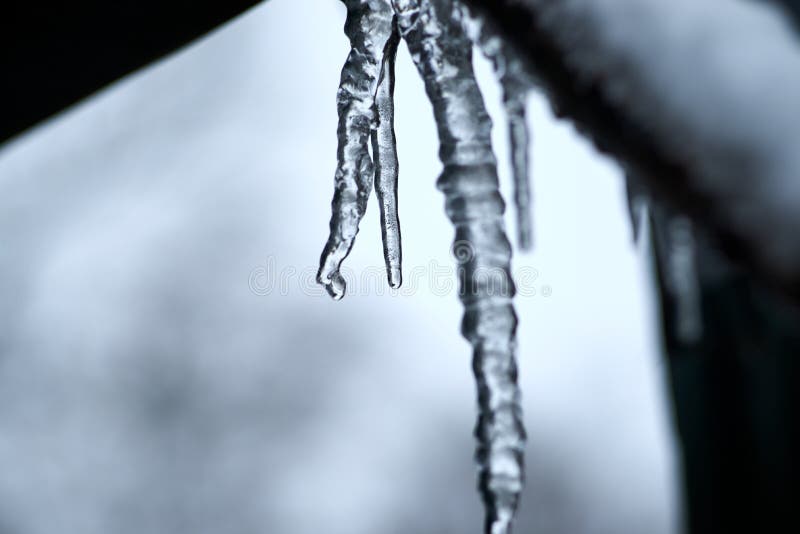 Icicles and a Drop of Melt Water. Snow Melting. Stock Photo - Image of ...