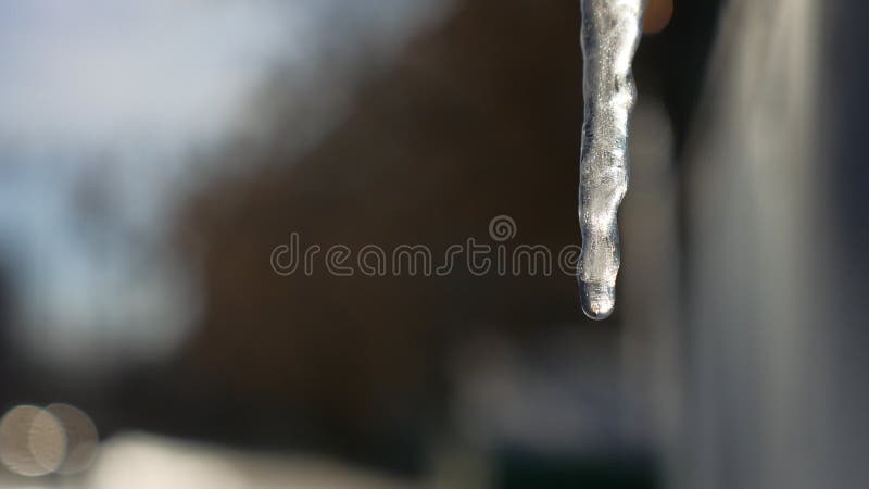 Frozen fog background stock video. Video of effect, cold - 161264397