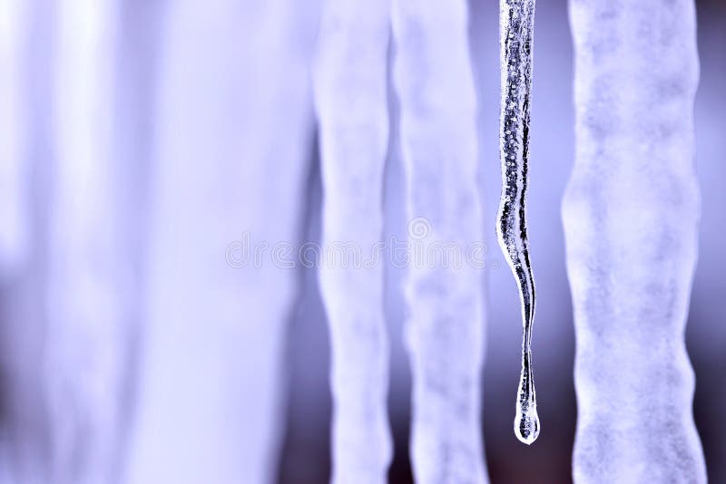 Icicles with Focus on Single Melting Icicle. Stock Photo - Image of ...